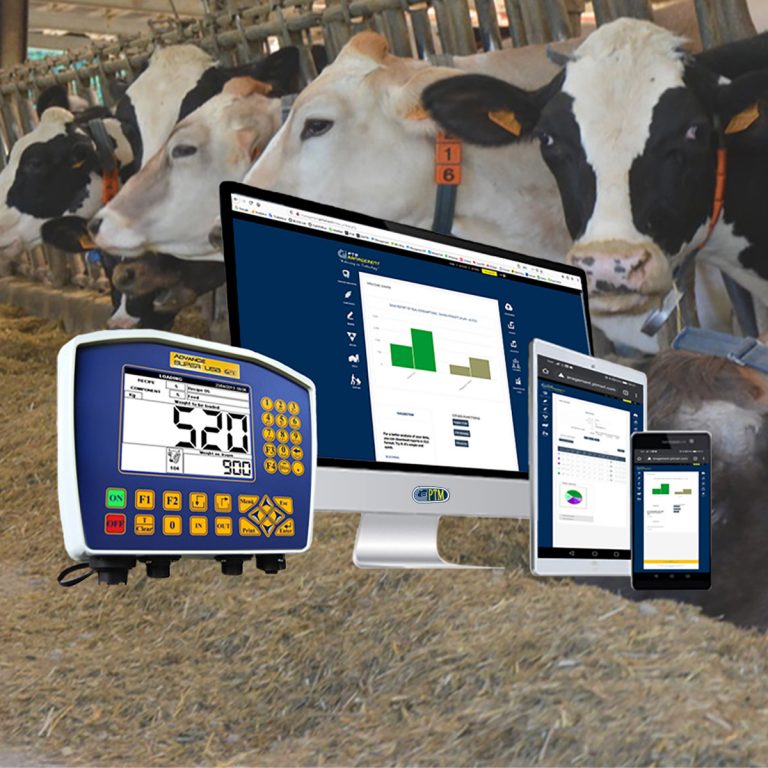 PTM Srl | PTM Management