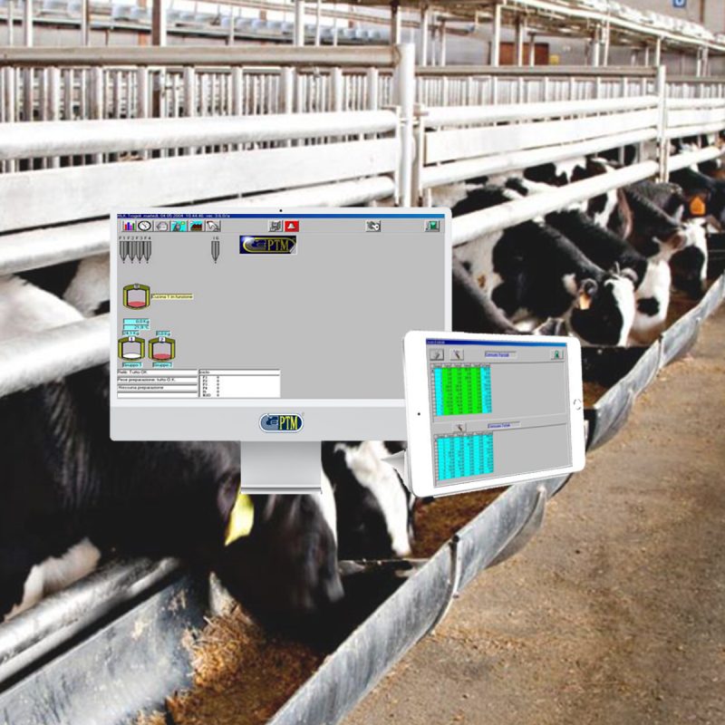 PTM Srl | PTM Management