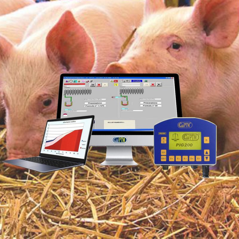 PTM Srl | PTM Management